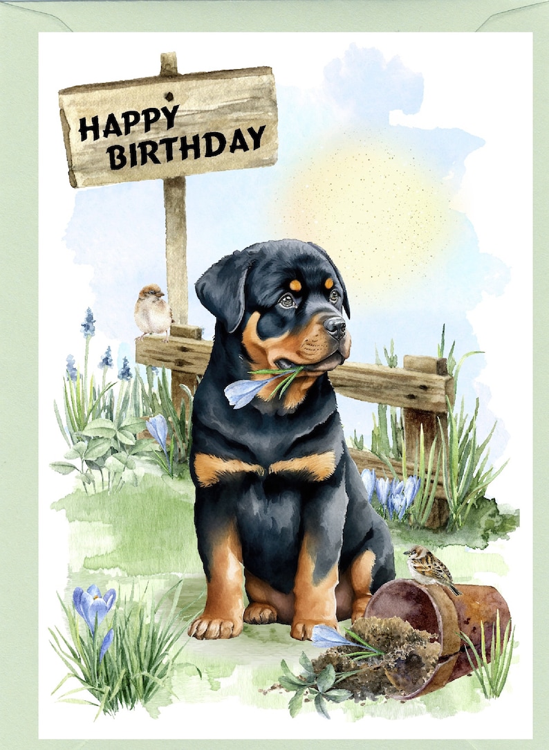 Rottweiler Dog "happy Birthday" Card (6"x 4") With Envelope. Blank ...