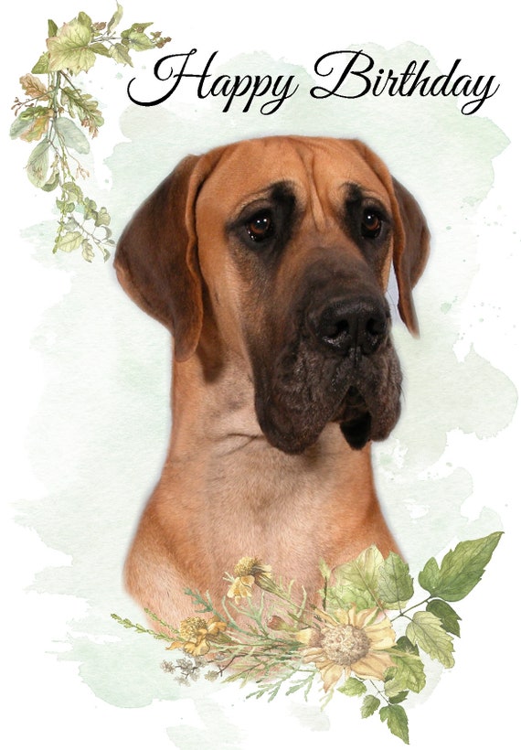 Happy Birthday Great Dane