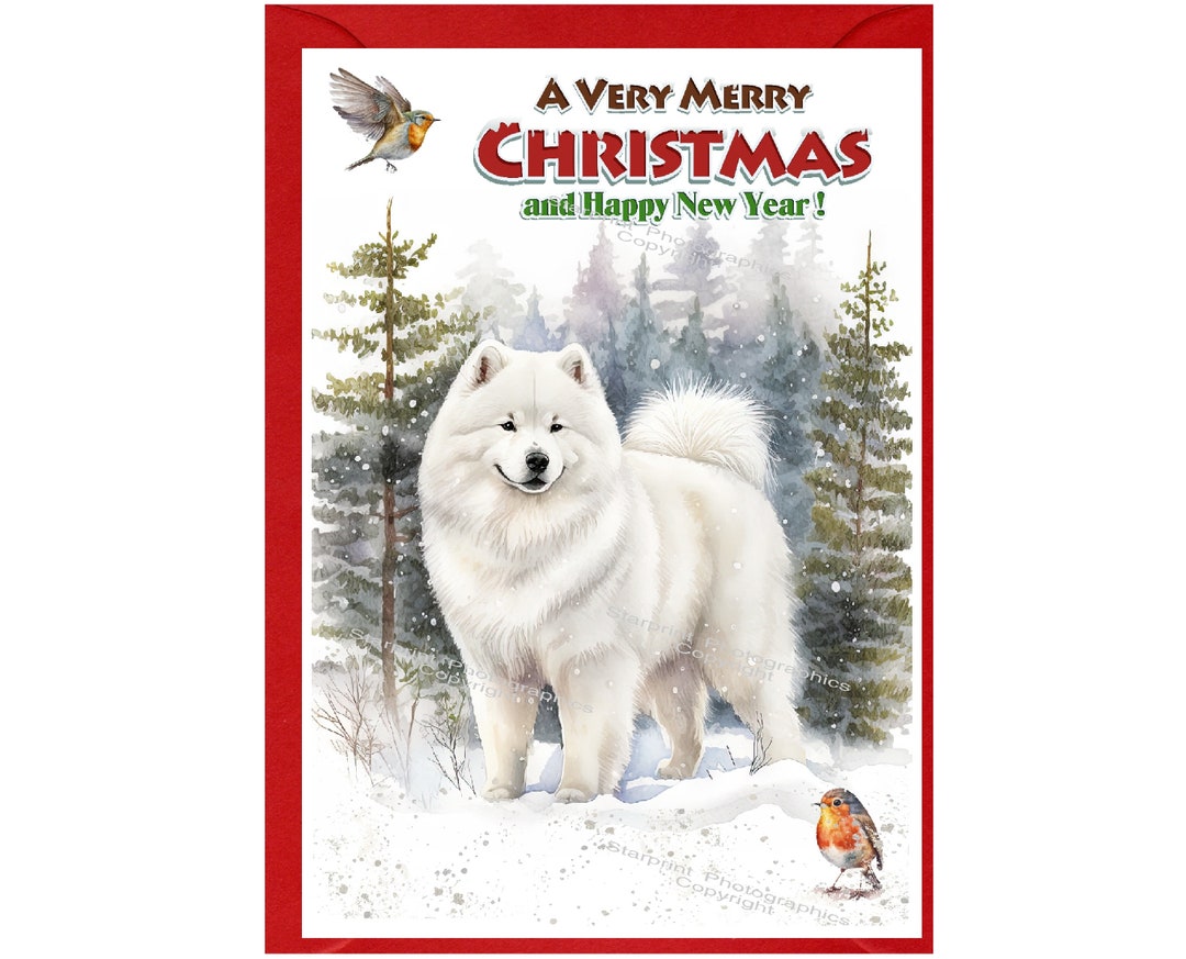 Samoyed Dog Christmas Card (6" X 4") Blank Inside - With Envelope ...