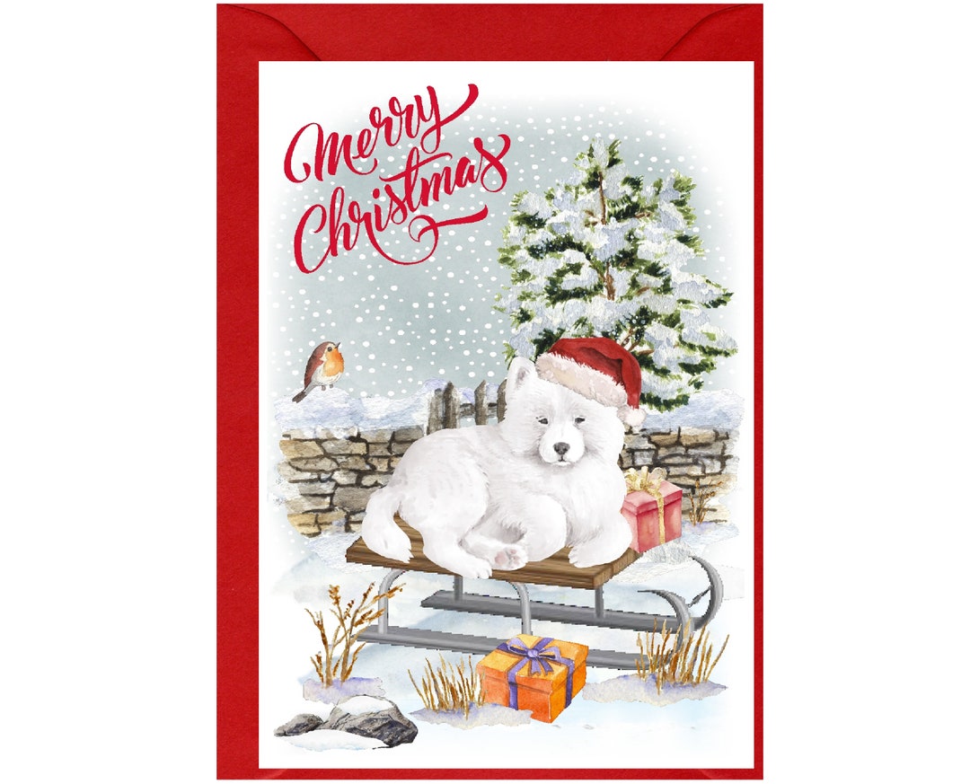Samoyed Dog Christmas Card (6" X 4") Blank Inside - With Envelope ...