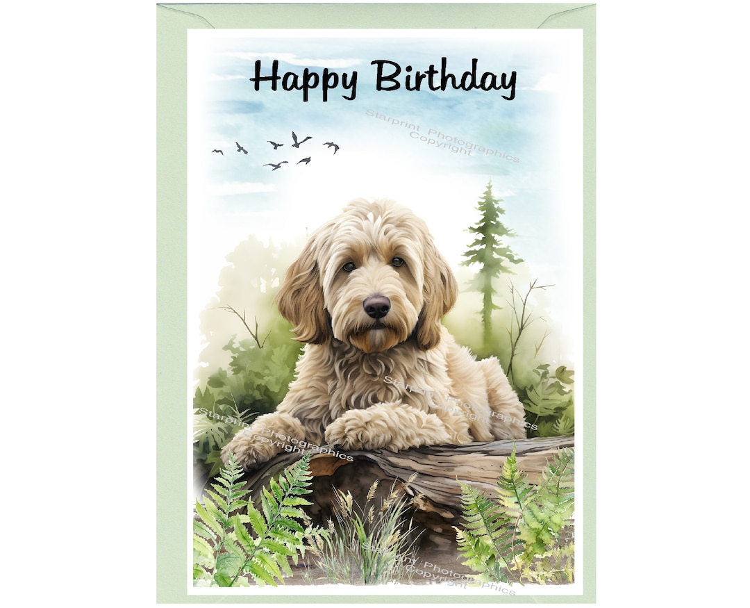 Labradoodle / Golden Doodle Dog "happy Birthday" Card (6"x 4") With ...