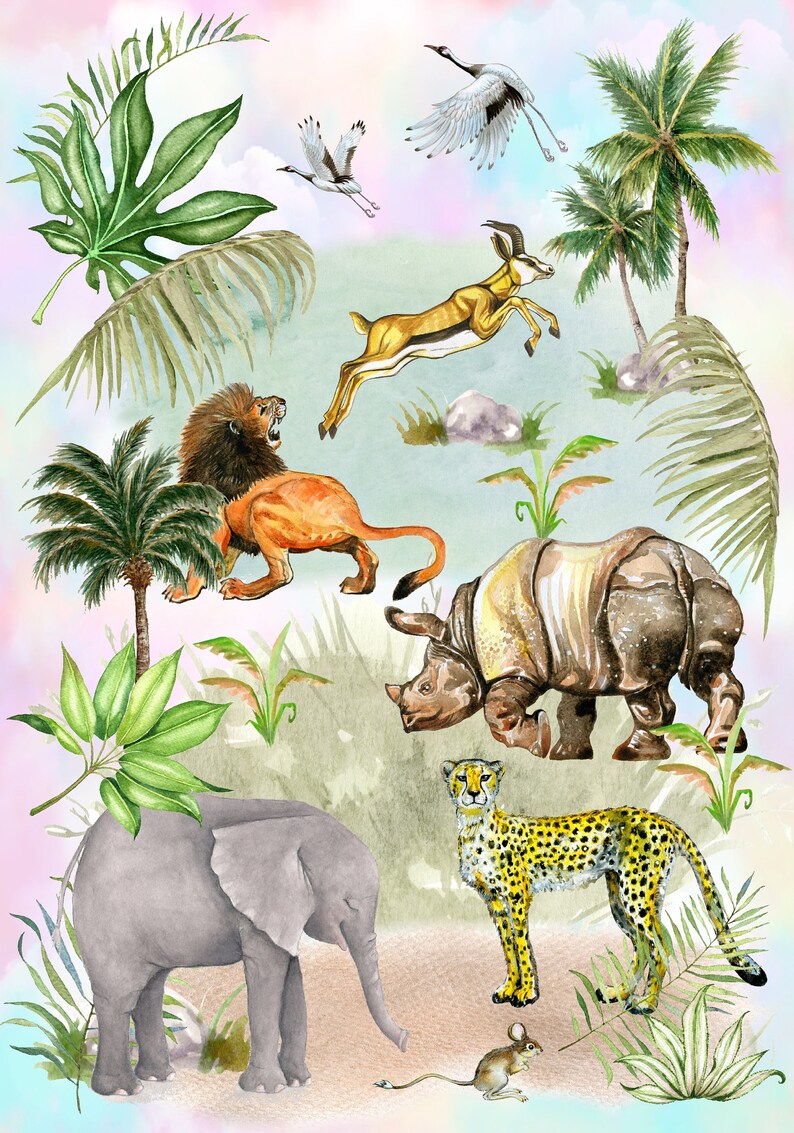Safari Wild Animals Gift Wrapping Paper With Matching Gift - Etsy