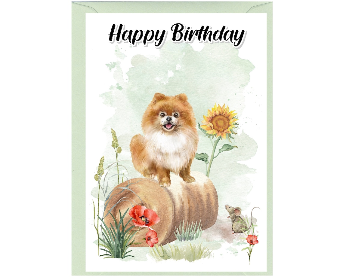 Pomeranian Dog happy Birthday Card 6x - Etsy
