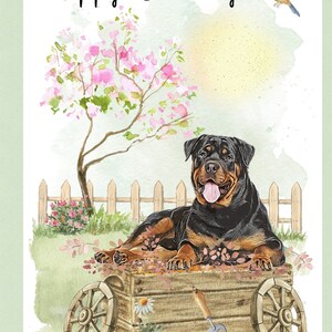Rottweiler Dog "happy Birthday" Card (6"x 4") With Envelope. Blank ...