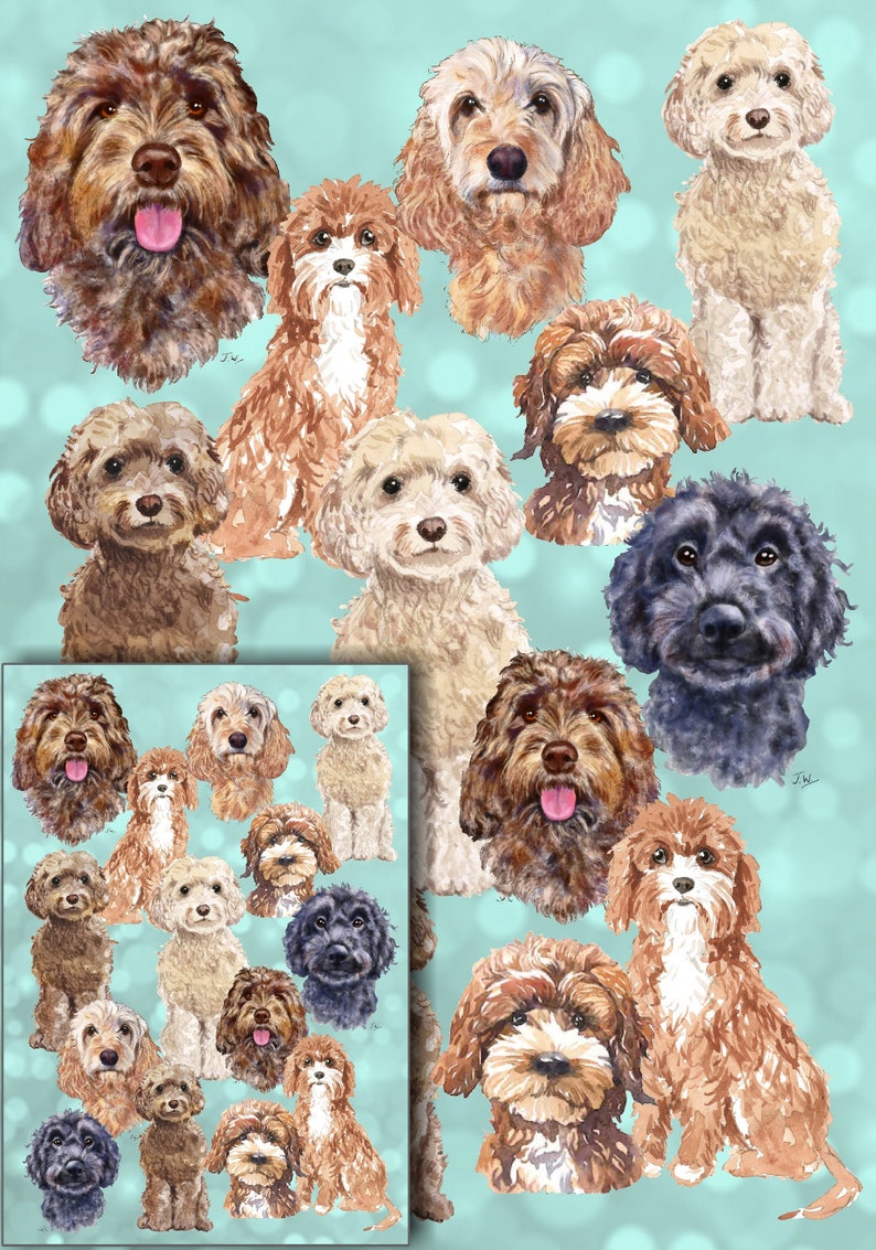 Cockapoo / Doodle Dog Gift Wrapping Paper With Matching Gift | Etsy UK