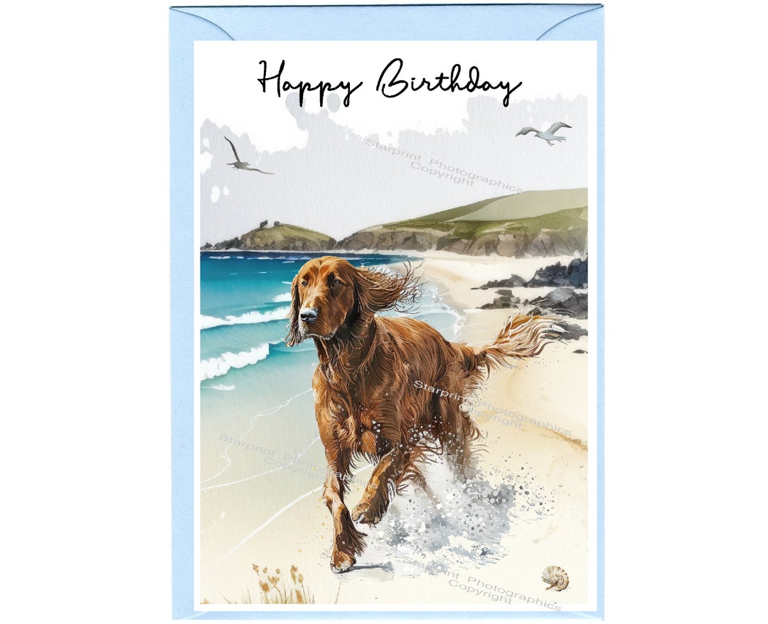 Irish Red Setter Dog "happy Birthday" Card (6" X 4") With Envelope ...