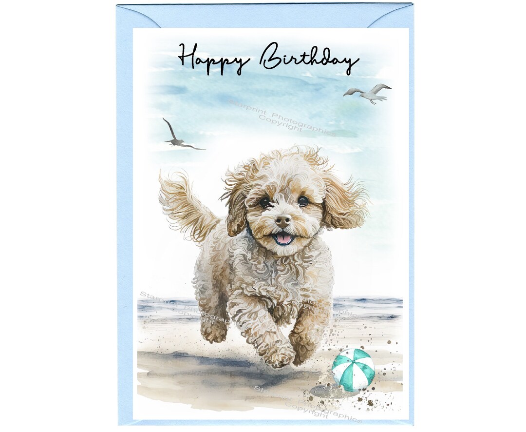 Cavapoo / Doodle Cream Dog "happy Birthday" Card (6" X 4") With ...