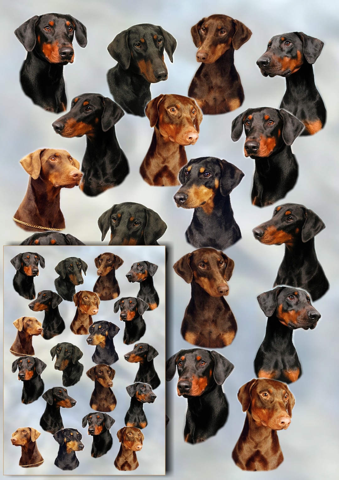 Dobermann Dog Gift Wrapping Paper With Matching Gift Card. Make Your ...