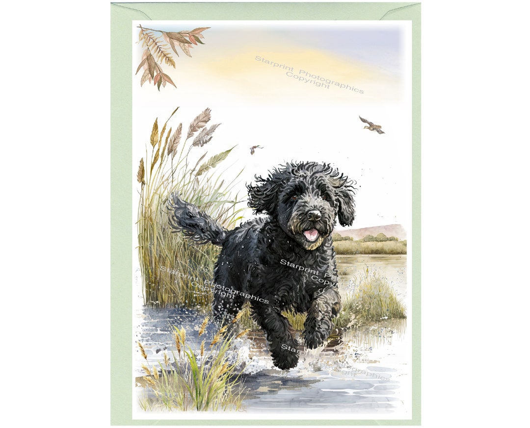 Personalised Labradoodle / Doodle Black Dog Greetings Card /notelet (6 ...