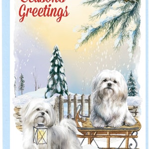 Maltese Dog Christmas Card (6" X 4") Blank Inside - With Envelope ...