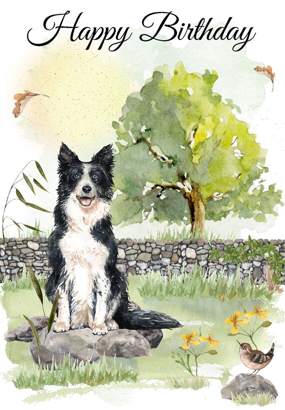 Are Border Collies Generally Yappy