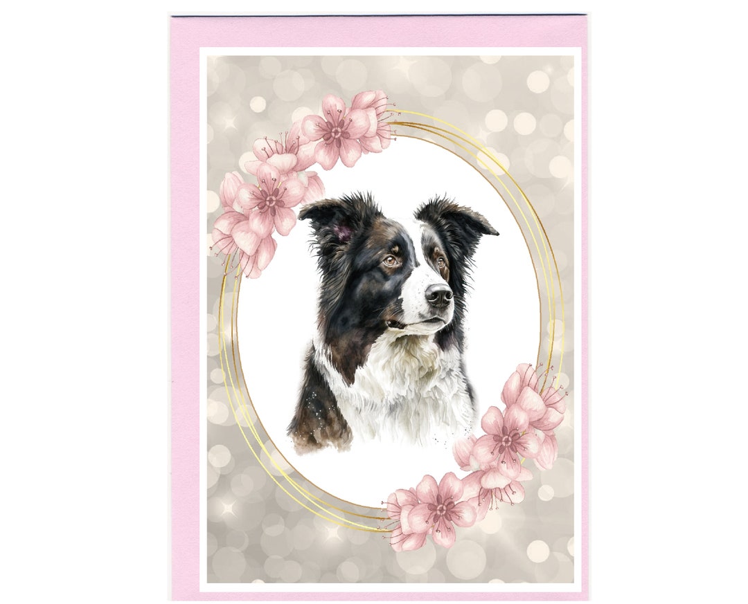 Personalised Border Collie Dog Greetings Card /notelet (6" X 4") With ...