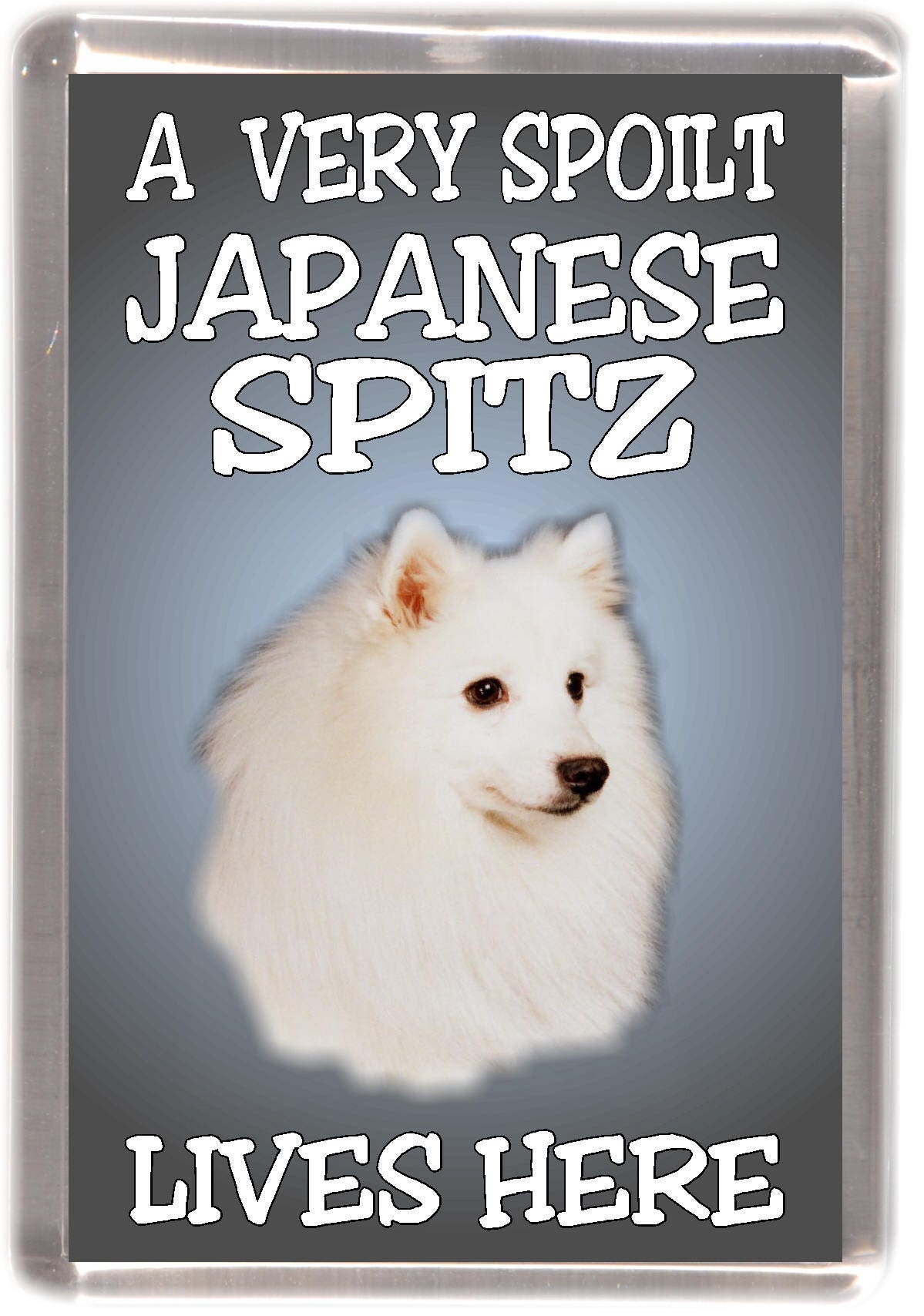 Are Bones Easily Digested By A Japanese Spitz