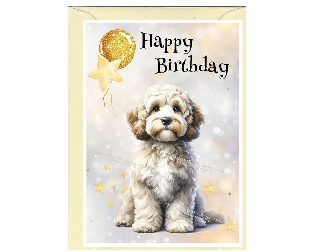 Doodle / Maltipoo / Cockapoo Dog "happy Birthday" Card (6" X 4") With ...