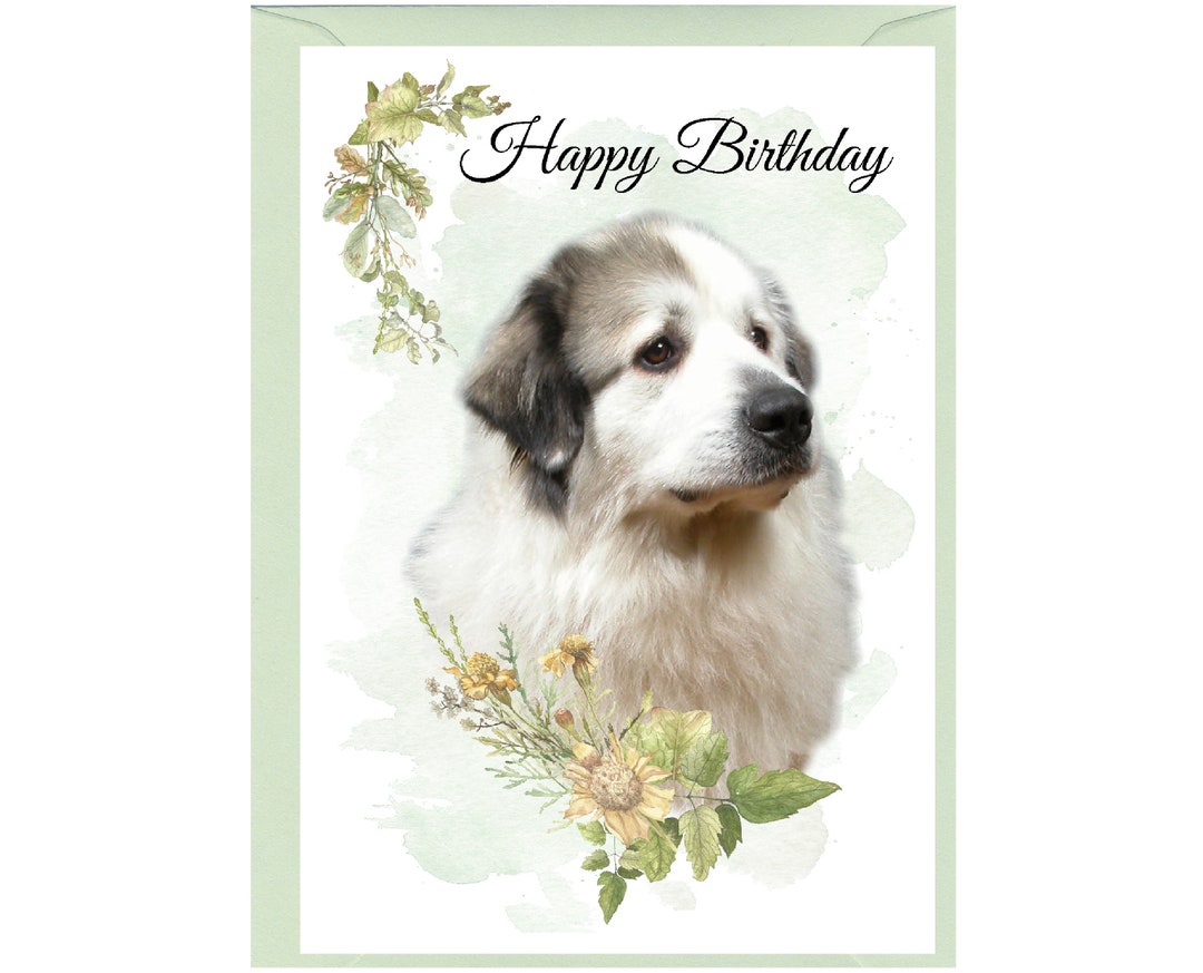 Pyrenean Mountain Dog (great Pyrenees) "happy Birthday" Card (6"x 4 ...