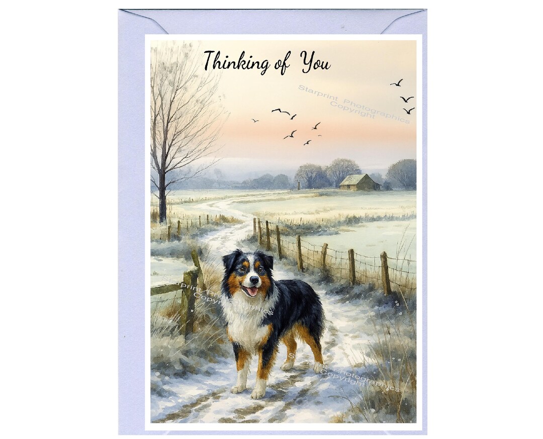 Australian Shepherd Dog "thinking of You" Card (6" X 4") With Envelope ...