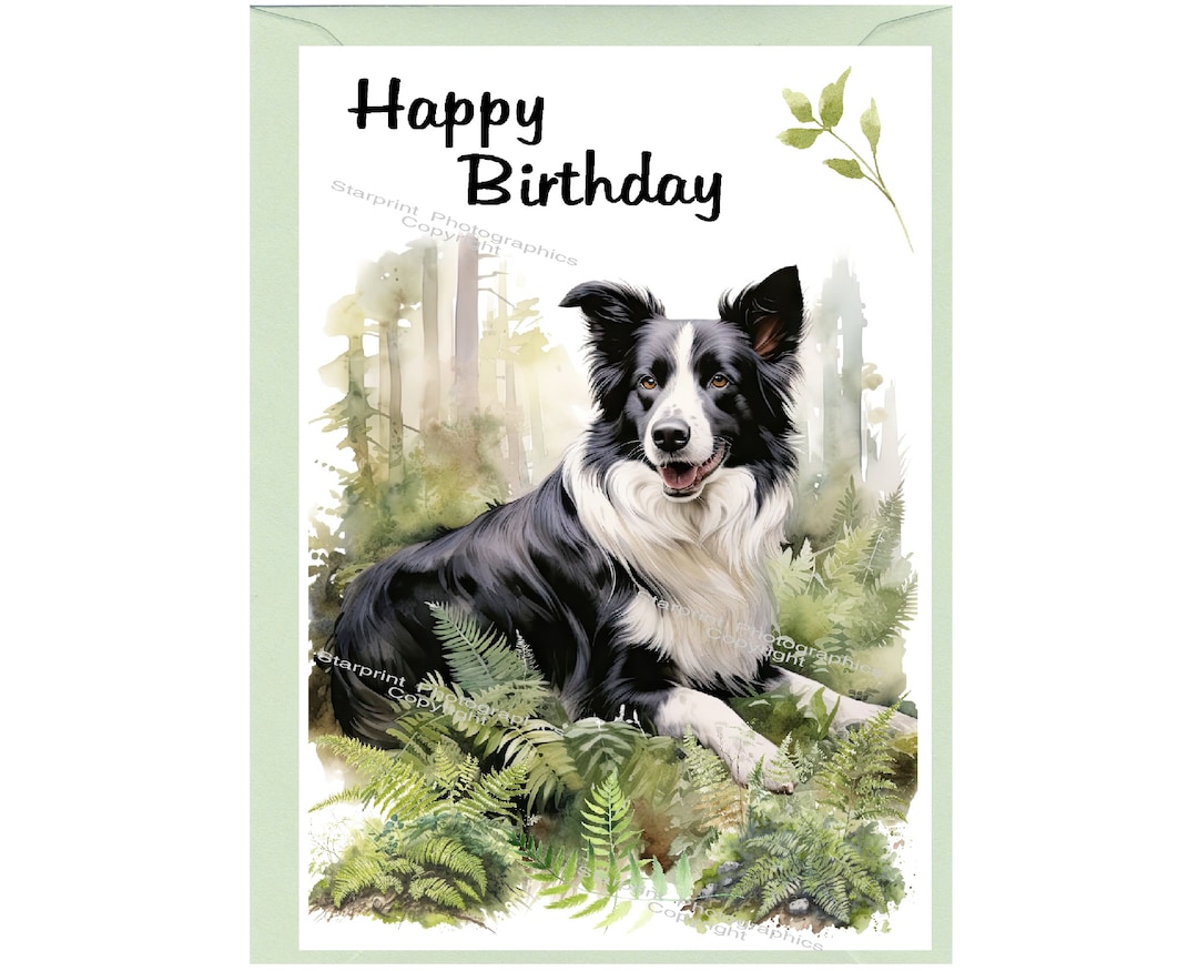 Border Collie Dog happy Birthday Card 6 X 4 With Envelope Blank Inside ...