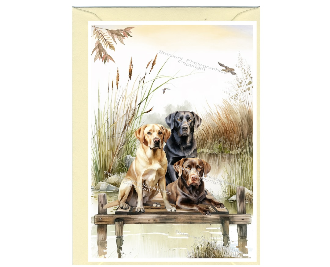 Personalised Labrador Retriever Dog Greetings Card /notelet (6" X 4 ...