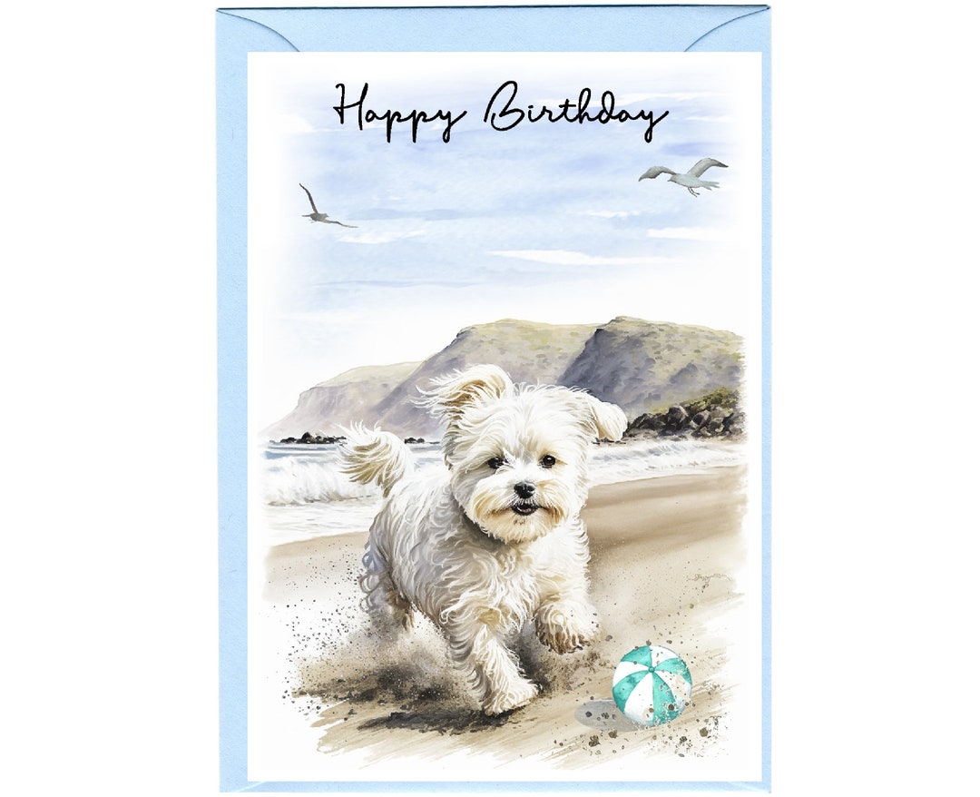 Maltese Dog happy Birthday Card 6x 4 With Envelope. Blank Inside for ...