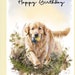 Golden Retriever Dog "happy Birthday" Card (6" X 4") With Envelope ...