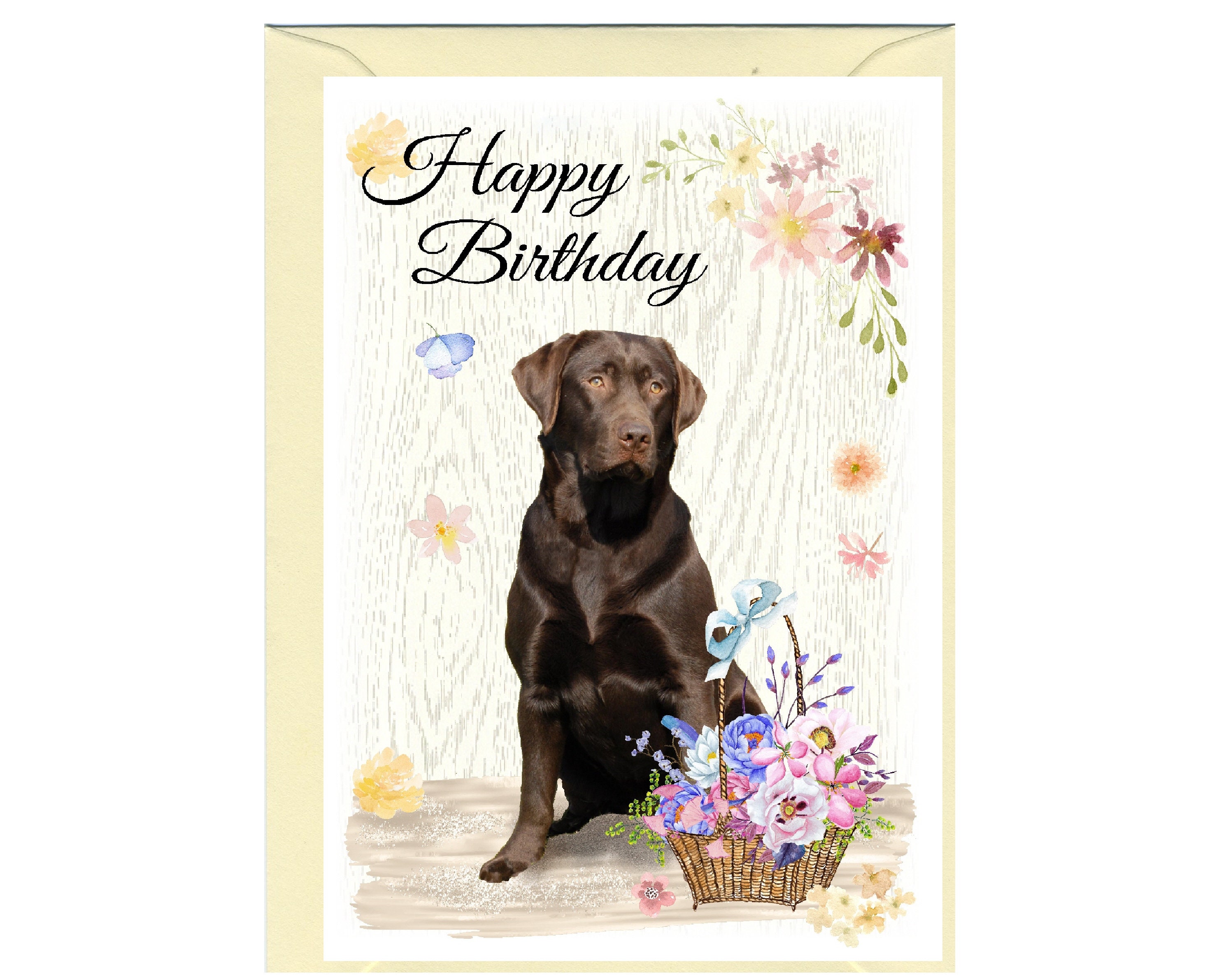 Labrador Retriever Birthday Cards Black Lab Birthday Card Orange