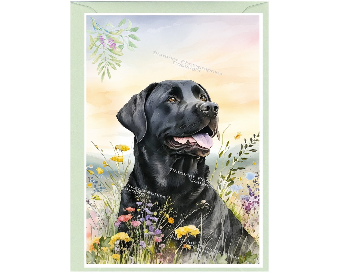 Personalised Black Labrador Retriever Dog Greetings Card /notelet (6" X ...