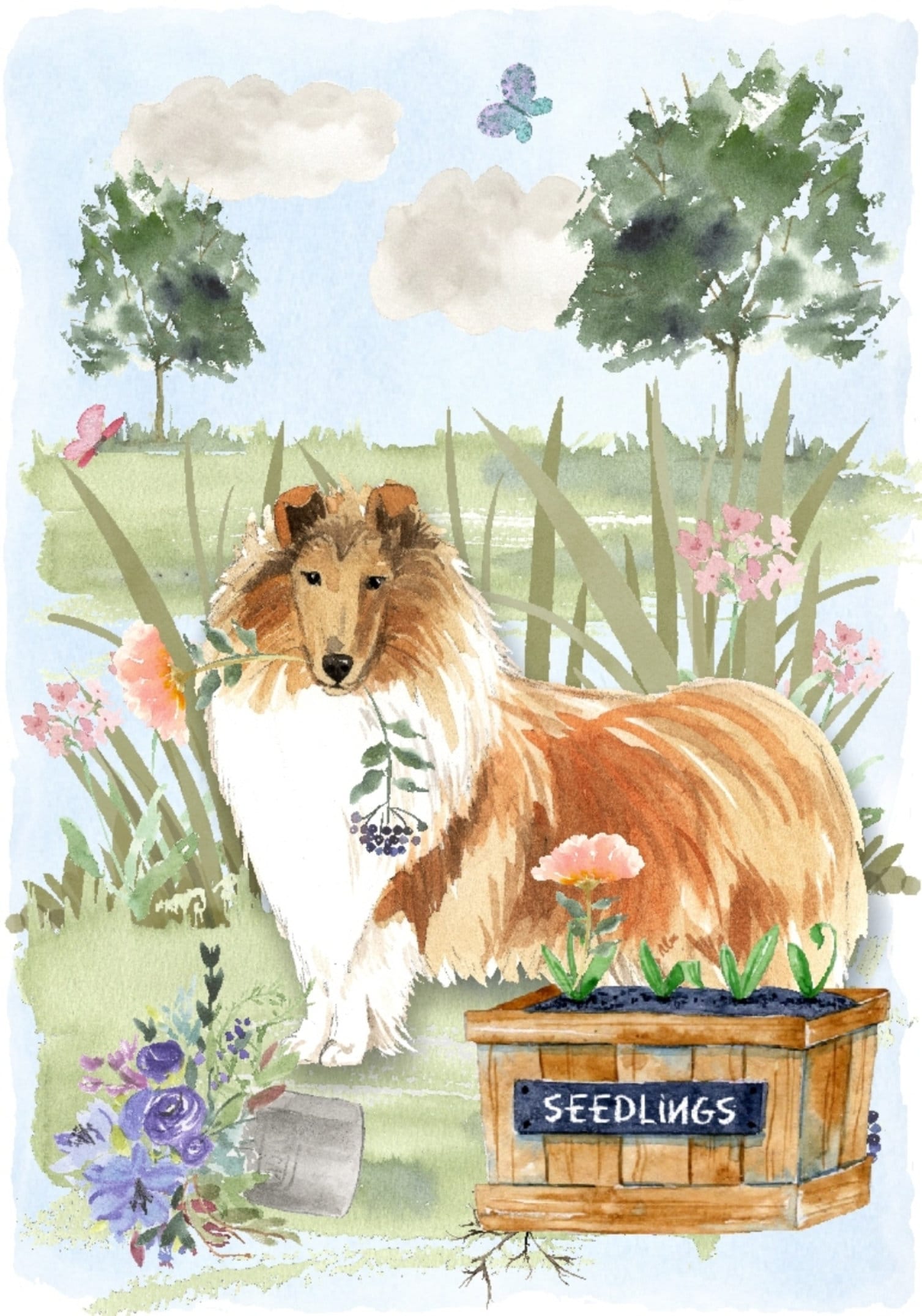 Rough Collie Dog Blank Card /notelet (6" X 4") With Envelope ...