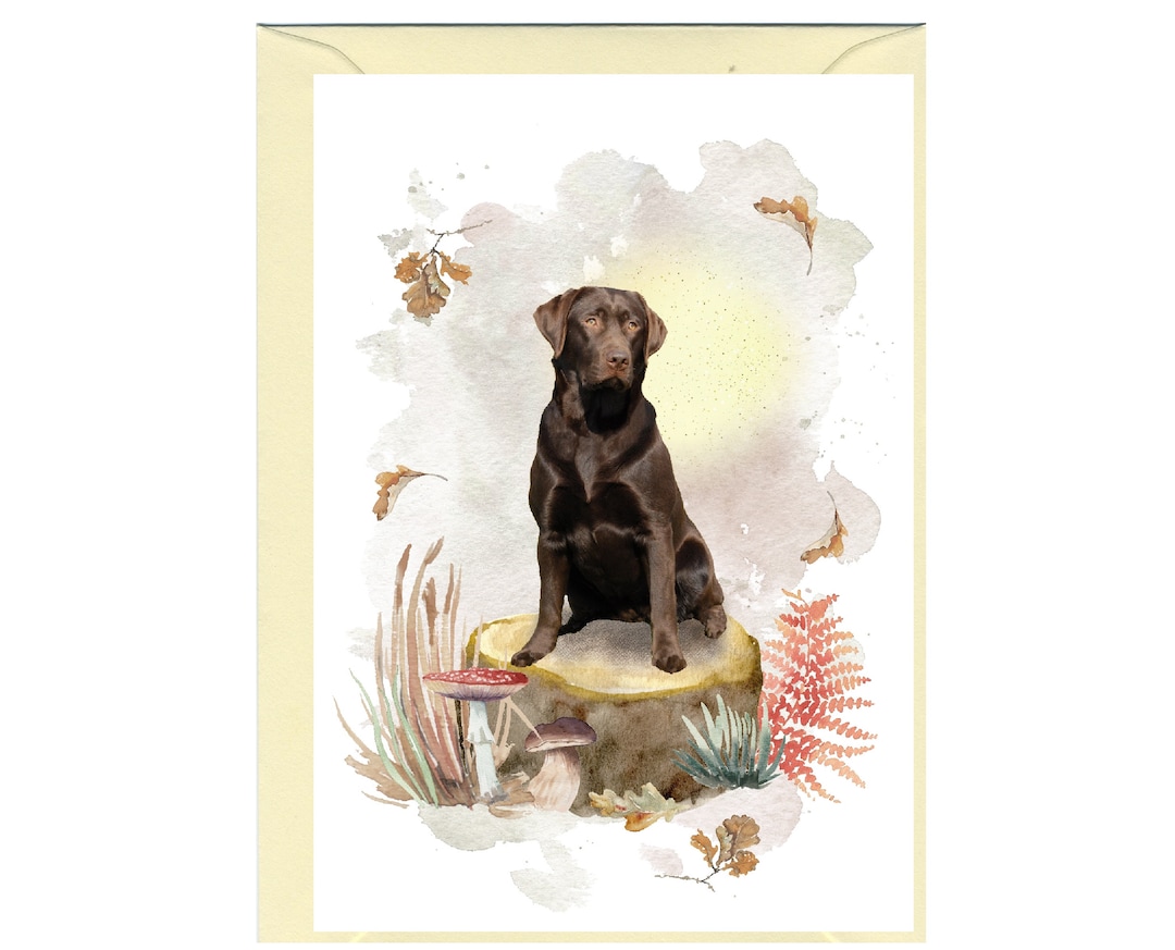 Personalised Labrador Retriever (chocolate) Dog Greetings Card /notelet ...