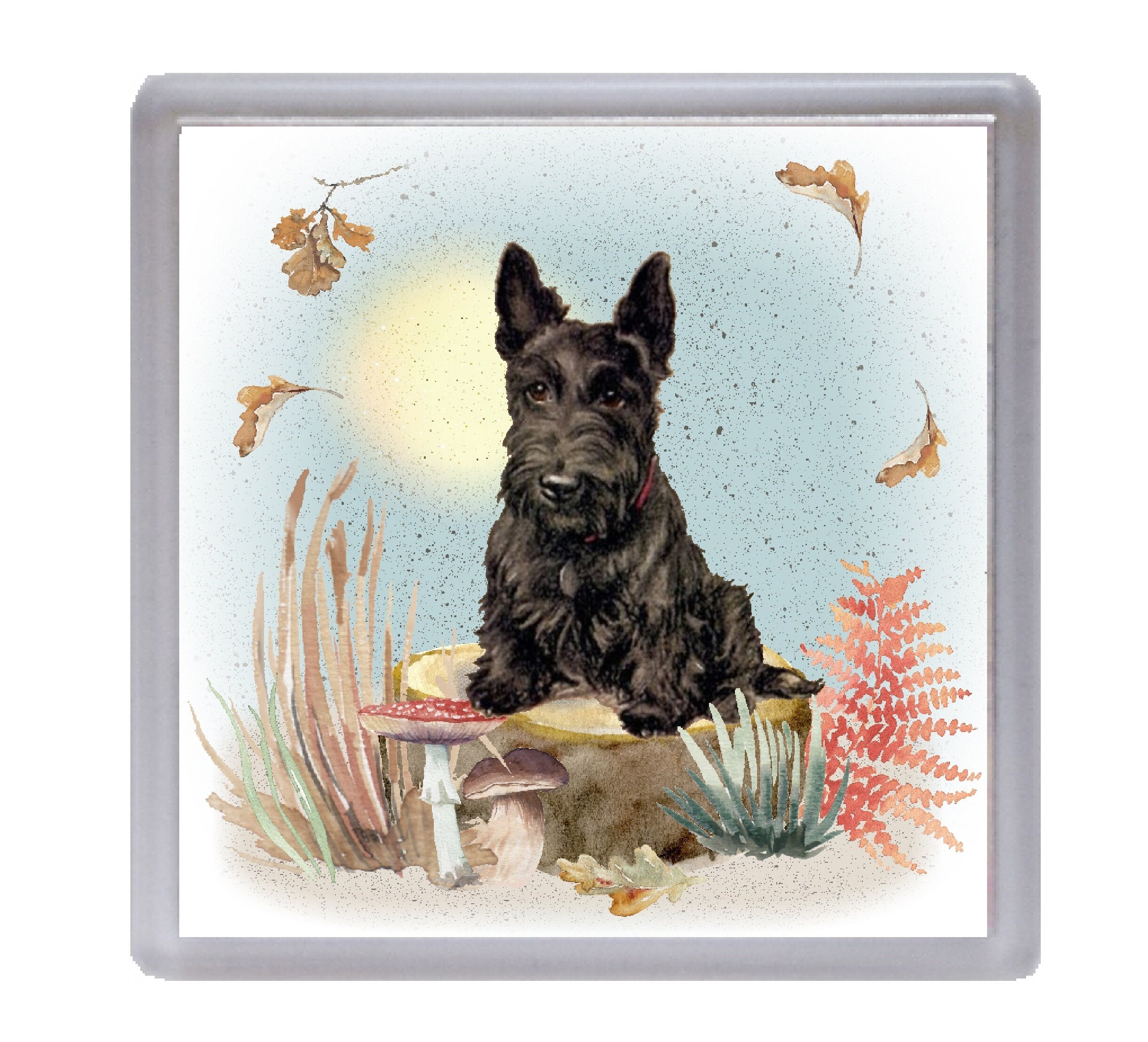 Can A Cavalier King Charles Spaniel And A Scottish Terrier Be Friends