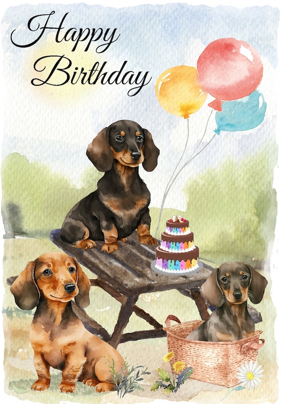 Birthday Dachshund Puppy