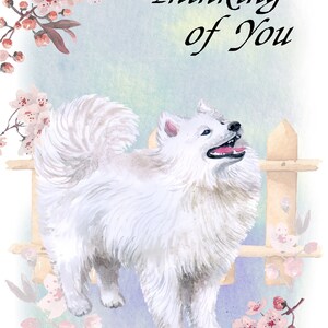 Samoyed Dog "thinking of You" Card (6" X 4") With Envelope - Blank ...