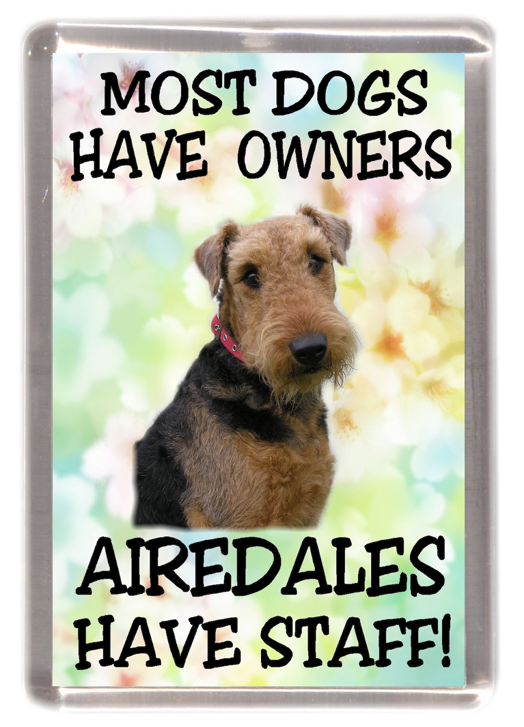 Airedale Terrier Dog Fridge Magnet - Most Dogs Have Owners Airedales ...