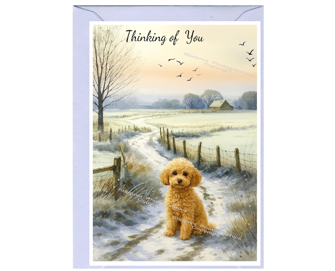 Poodle Apricot Dog "thinking of You" Card (6" X 4") With Envelope ...