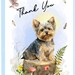 Yorkshire Terrier / Yorkie Dog "thank You" Card (6" X 4") With Envelope ...
