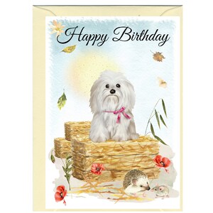 Maltese Dog "happy Birthday" Card (6"x 4") With Envelope. Blank Inside ...