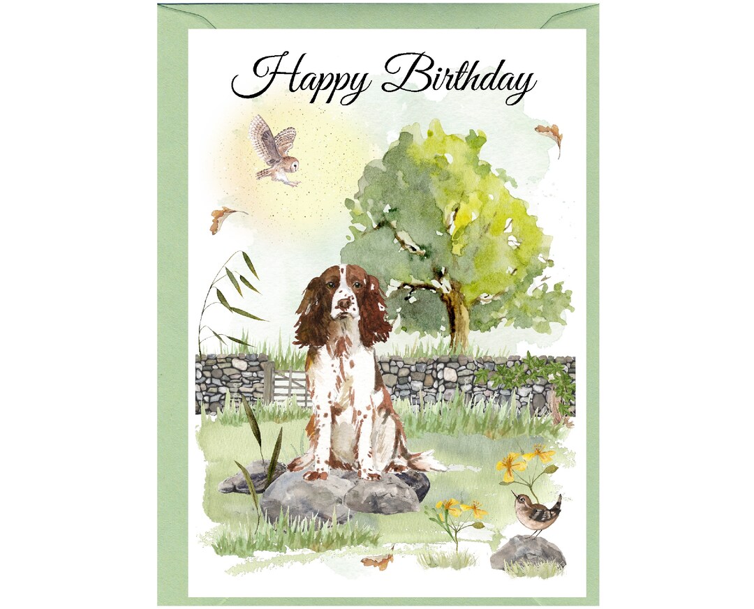 English Springer Spaniel Dog happy Birthday Card 6x 4 With Envelope ...