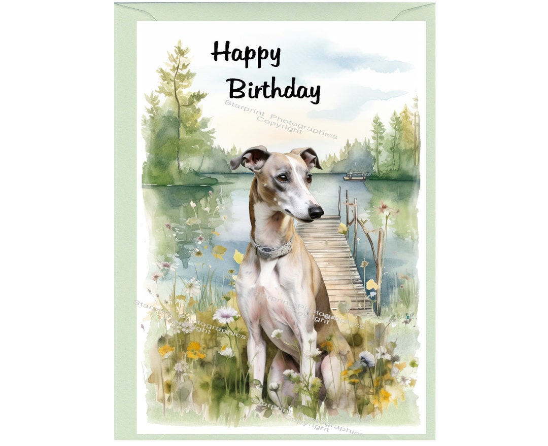 Whippet Dog "happy Birthday" Card (6"x 4") With Envelope. Blank Inside ...