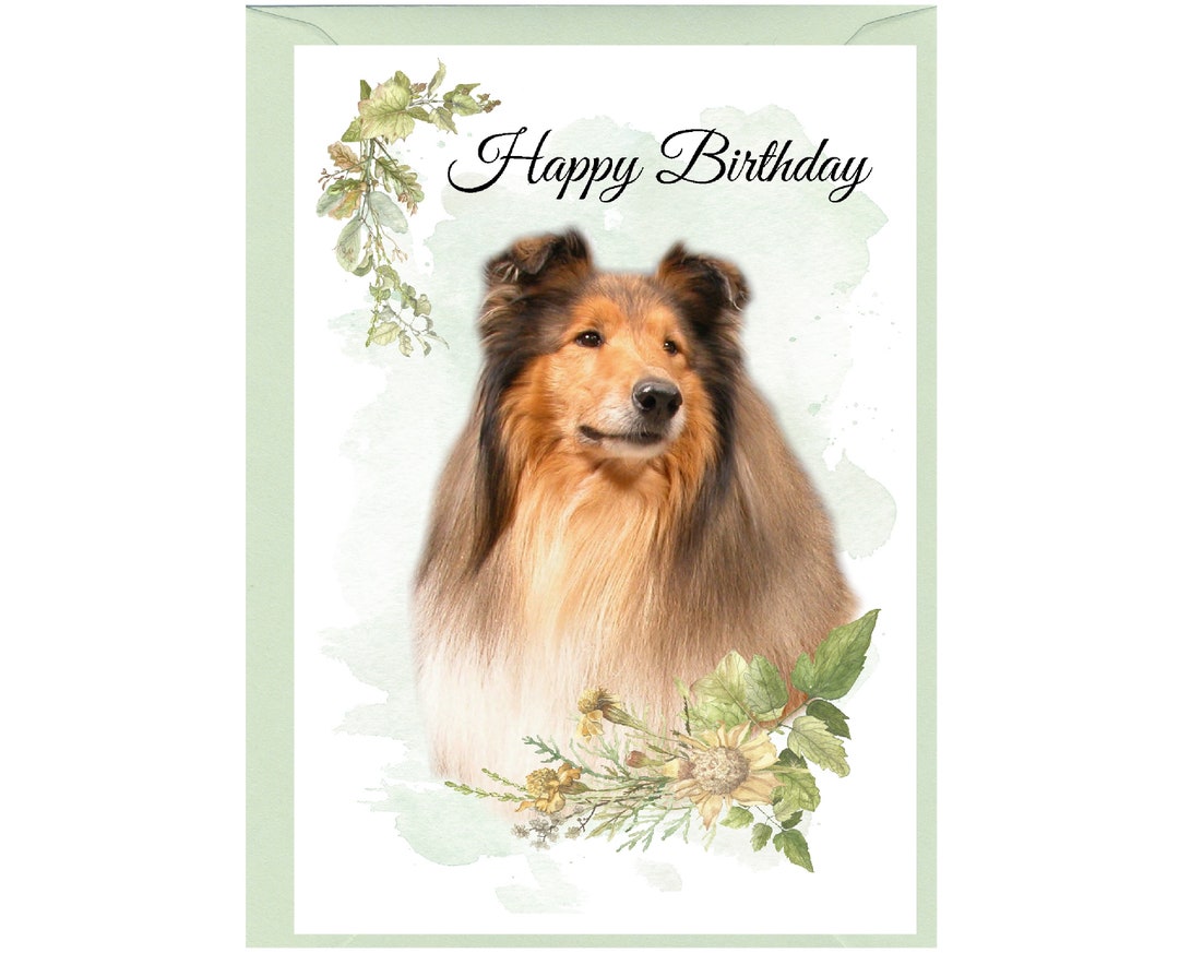 Rough Collie Dog happy Birthday Card 6x 4 With Envelope. Blank Inside ...