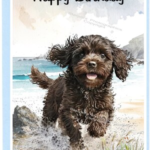 Cavapoo / Doodle Chocolate Brown Dog "happy Birthday" Card (6" X 4 ...