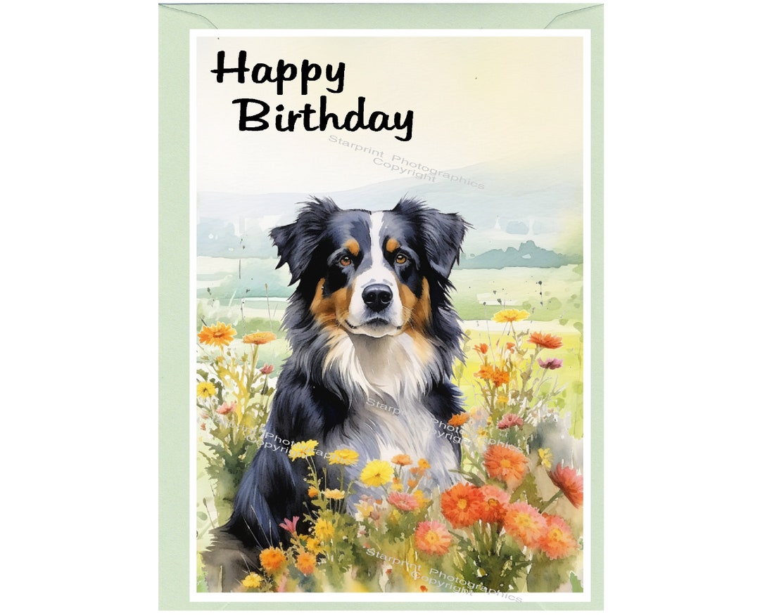 Australian Shepherd Dog "happy Birthday" Card (6"x 4") With Envelope ...