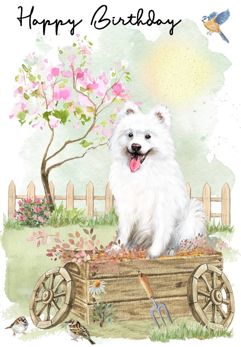 Samoyed Dog "happy Birthday" Card (6" X 4") With Envelope - Blank ...