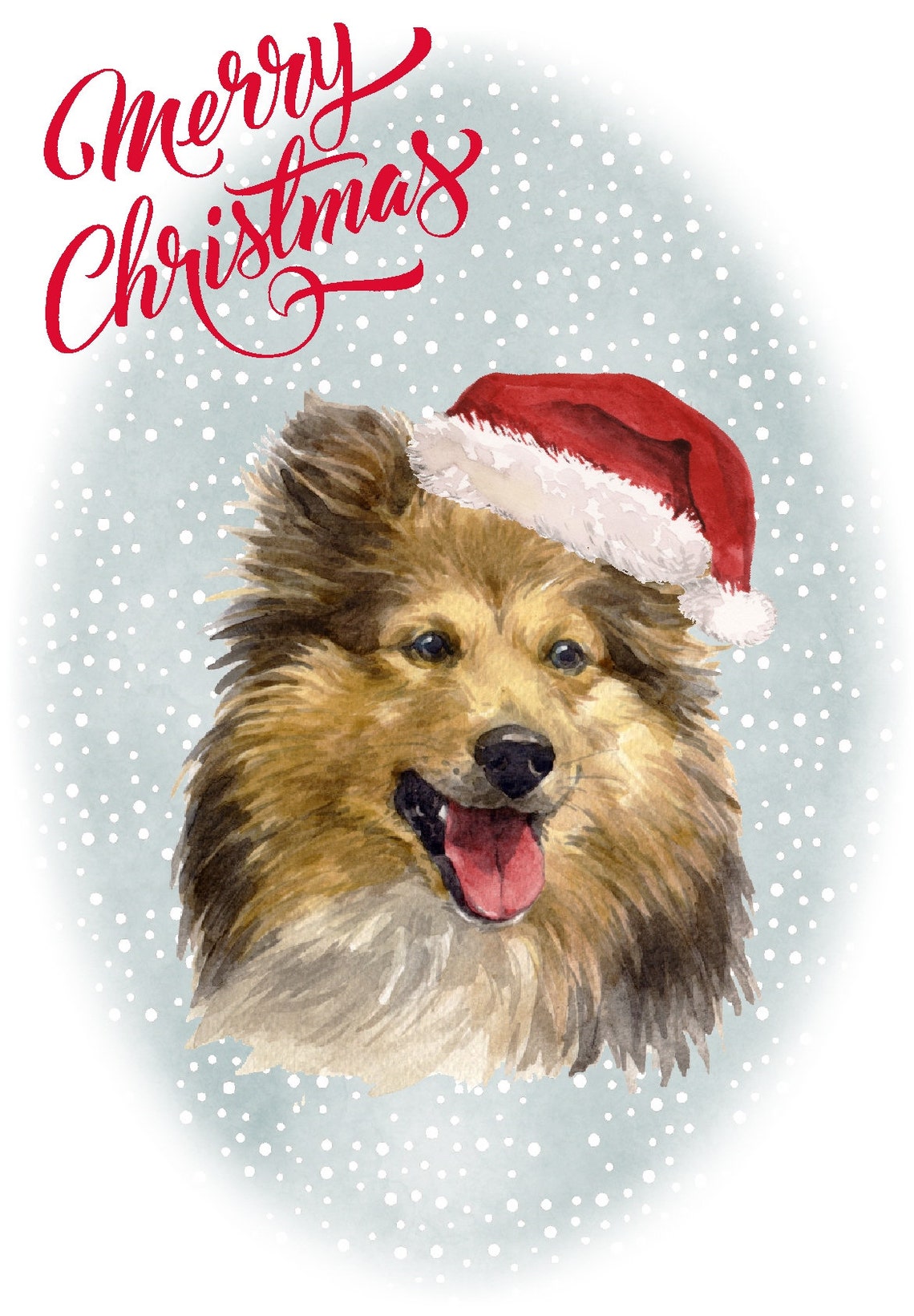 Shetland Sheepdog / Sheltie Dog Christmas Card (6" X 4") Blank Inside ...