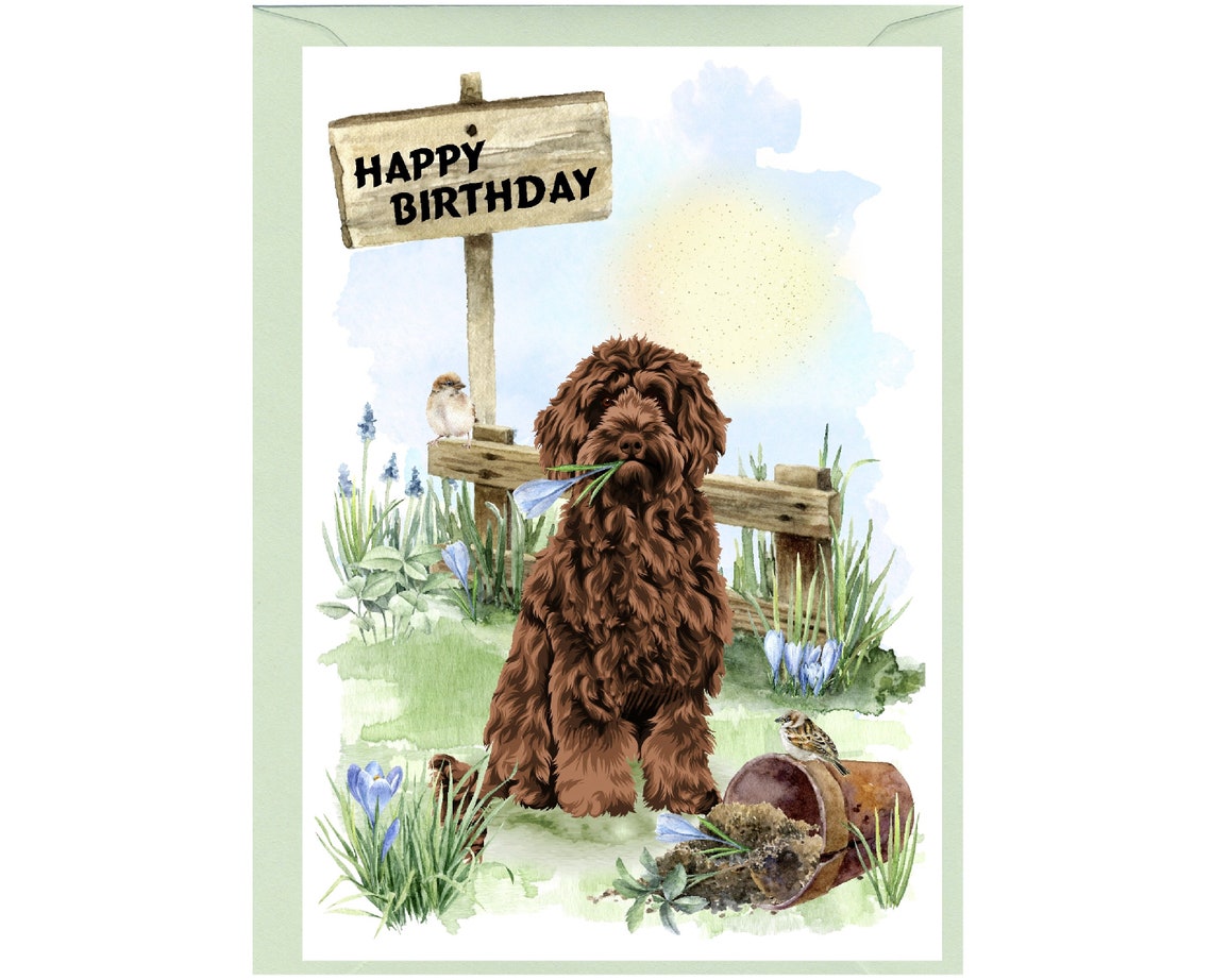 Labradoodle / Doodle Dog "happy Birthday" Card (6" X 4") With Envelope ...