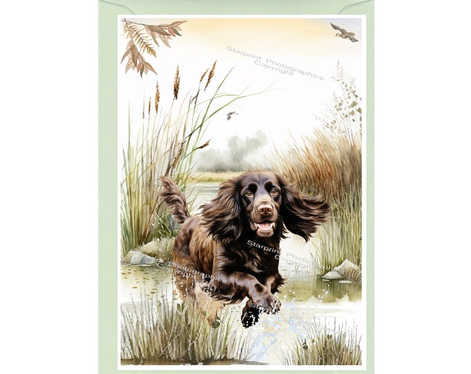 Springer Spaniel Birthday Card Springer Spaniel Gift for Dog Lover ...