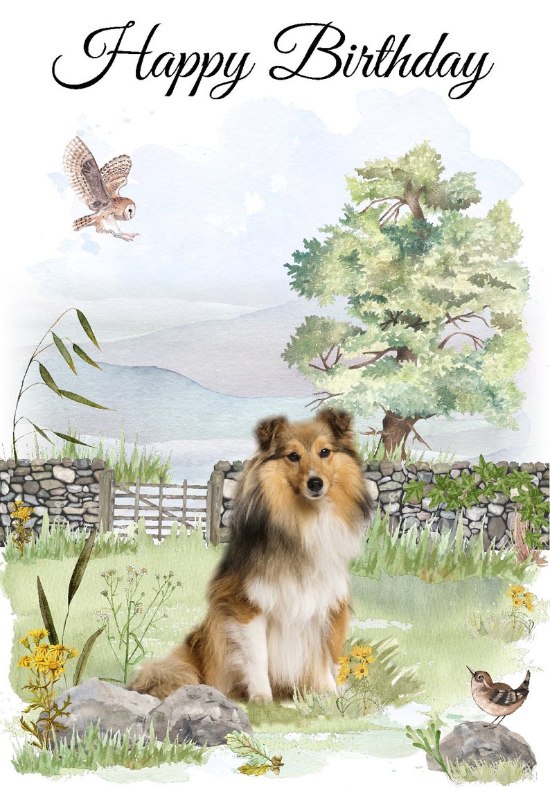 Shetland Sheepdog / Sheltie Dog "happy Birthday" Card (6"x 4") With ...