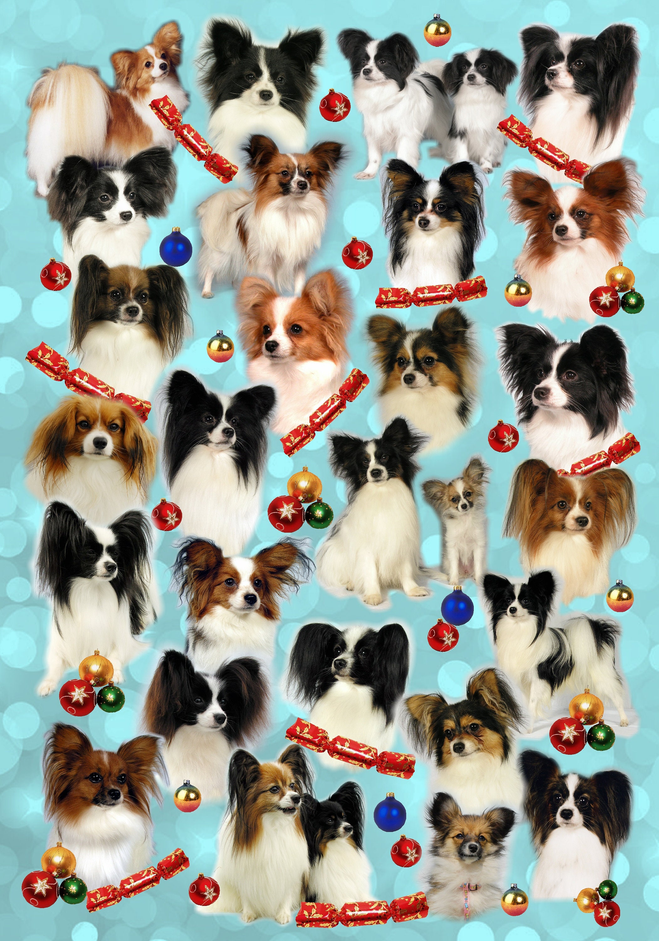 Papillon Butterfly Dog Christmas Gift Wrapping Paper. Perfect for Every ...