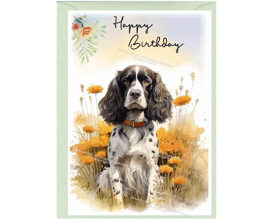 English Springer Spaniel Dog "happy Birthday" Card (6"x 4") With ...