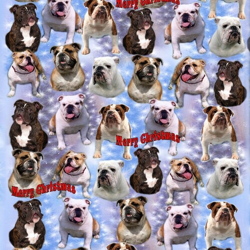 English Bulldog Wrapping Paper Roll Bully Christmas Gift - Etsy
