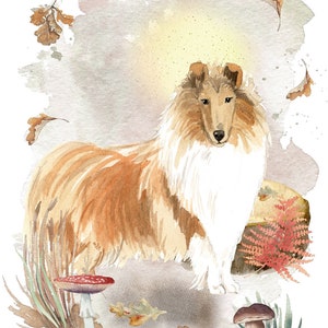 Personalised Rough Collie Dog Greetings Card /notelet (6" X 4") With ...