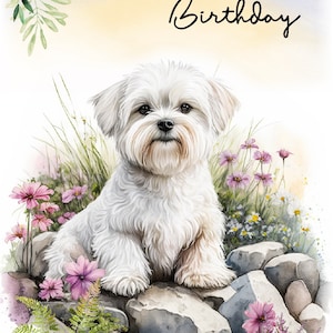 Maltese Dog "happy Birthday" Card (6"x 4") With Envelope. Blank Inside ...